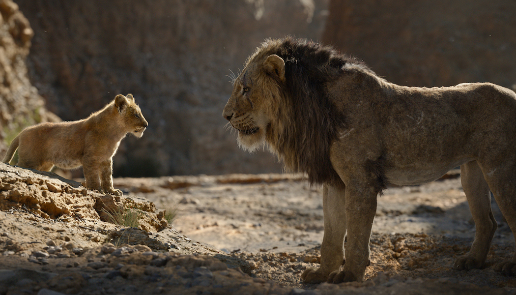 The Lion King - Movie Reviews - Stomp And Stammer